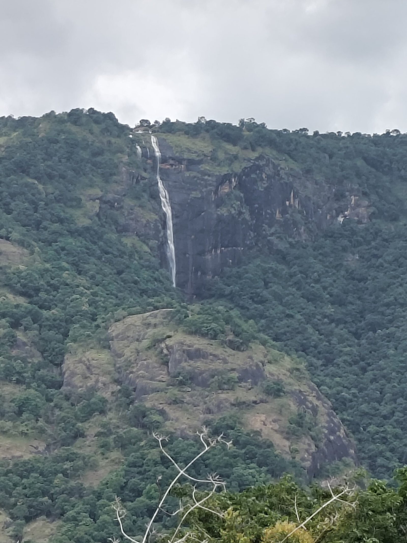 Waterfalls Thekkady | Aruvikuzhi waterfalls | discoverthekkady